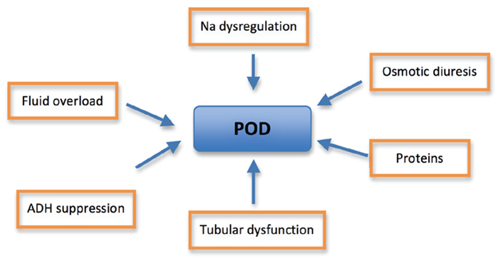 A guide for the assessment and management of post-obstructive diuresis ...