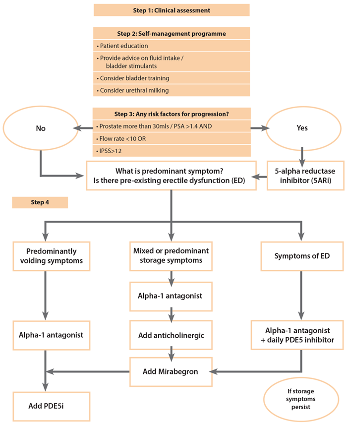 The medical management of LUTS/BPH – an update | Urology News
